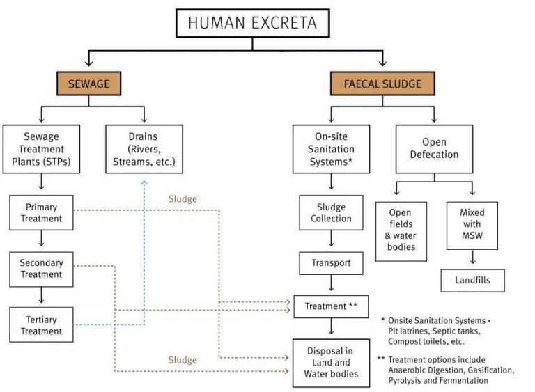 Faecal Sludge Management | Student Projects